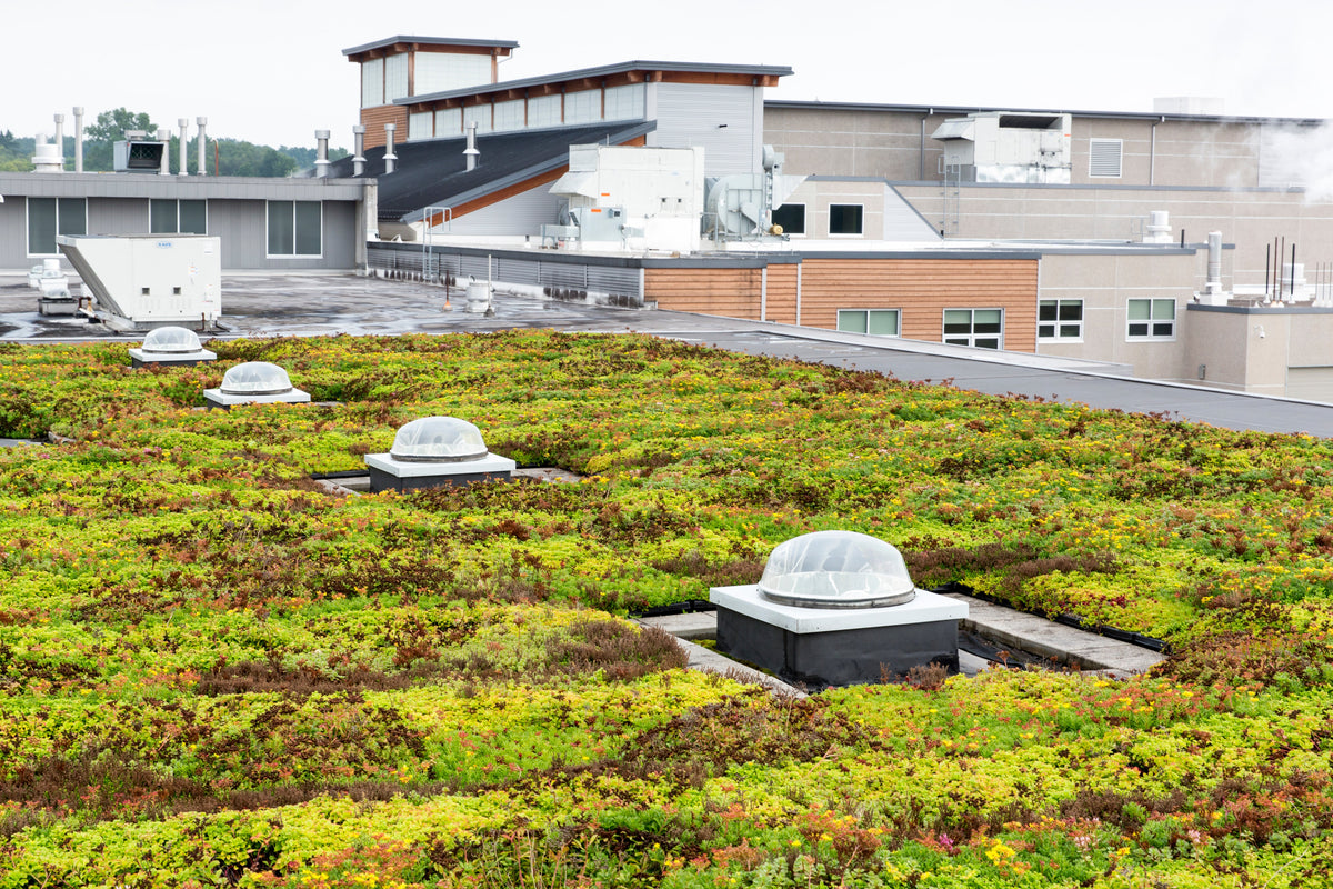 Sun Tube for Roof Solutions – Jedan Energy